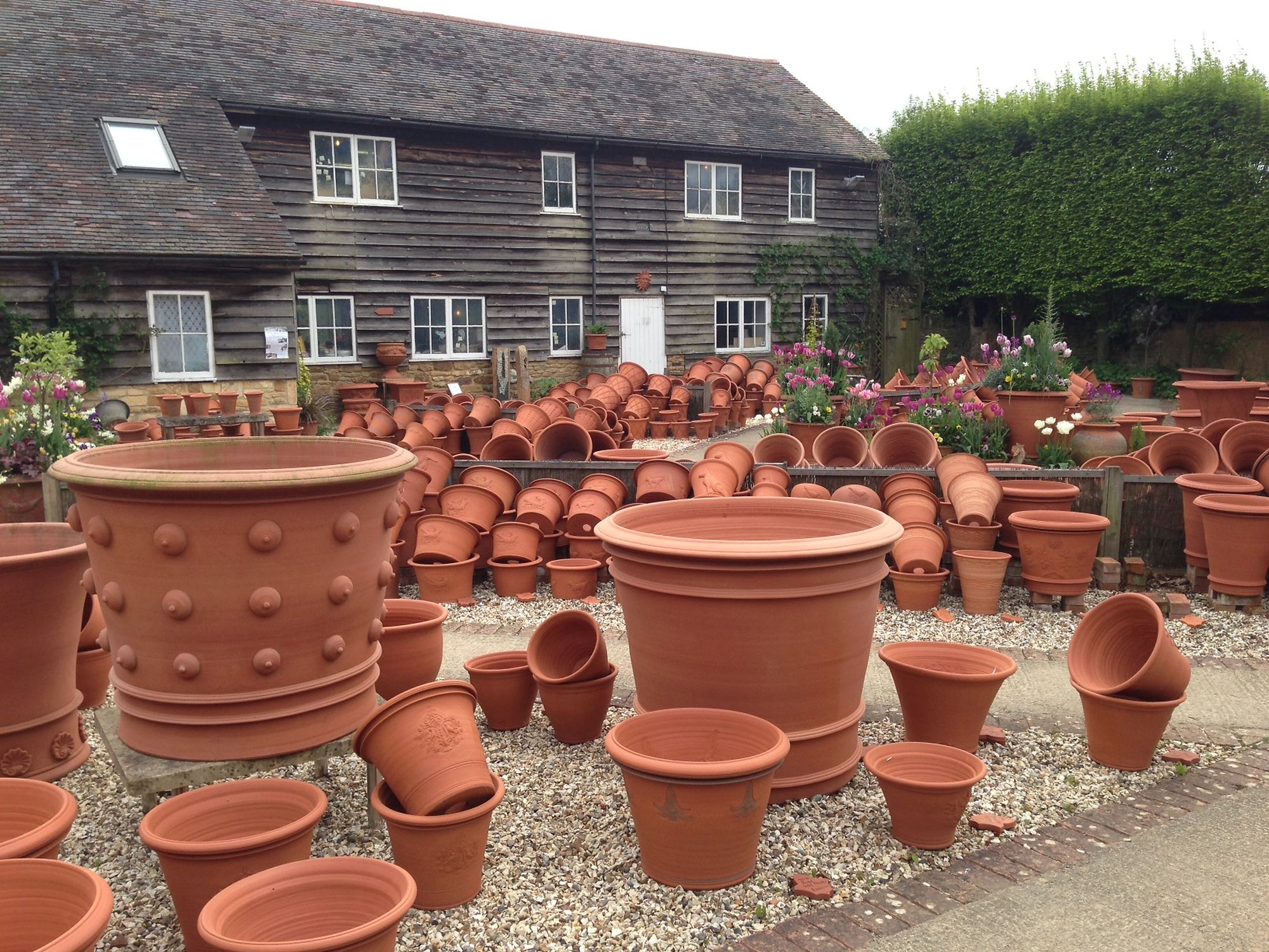 Niwaki - Whichford Pottery