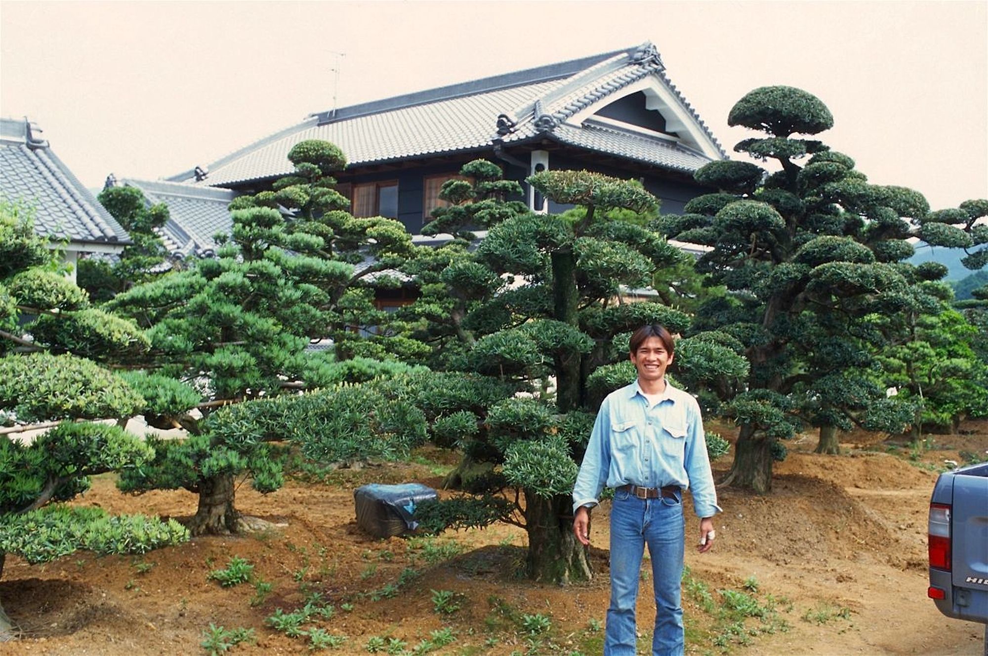 Niwaki - Where it all began