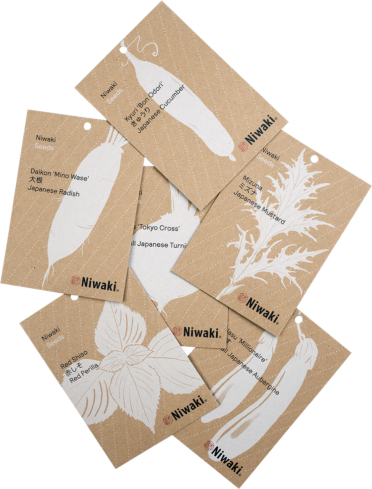 Mizuna Japanese Mustard Seeds from Niwaki