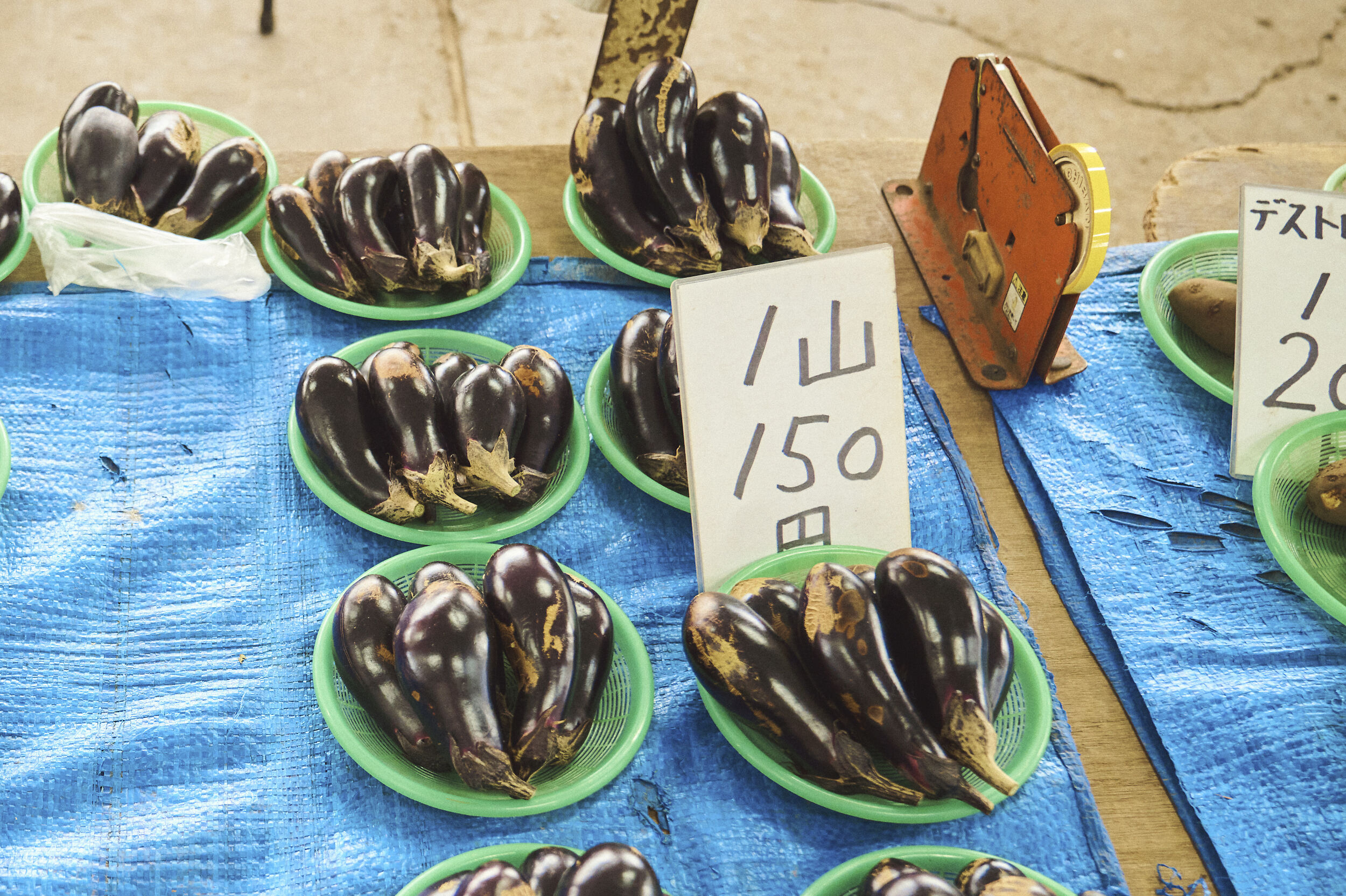 Nasu Millionaire Small Japanese Aubergine Seeds from Niwaki