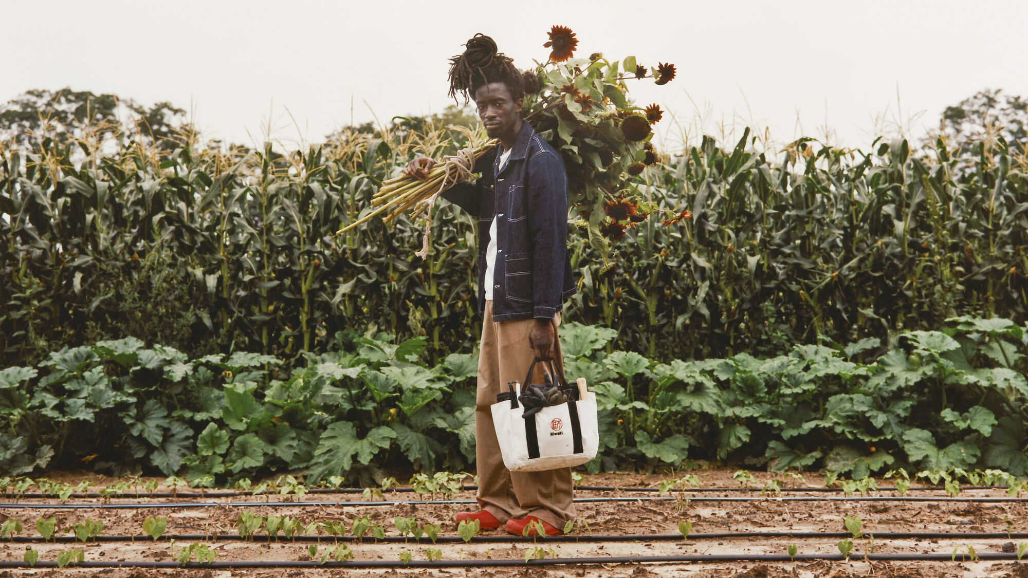 Noah x Niwaki collaboration