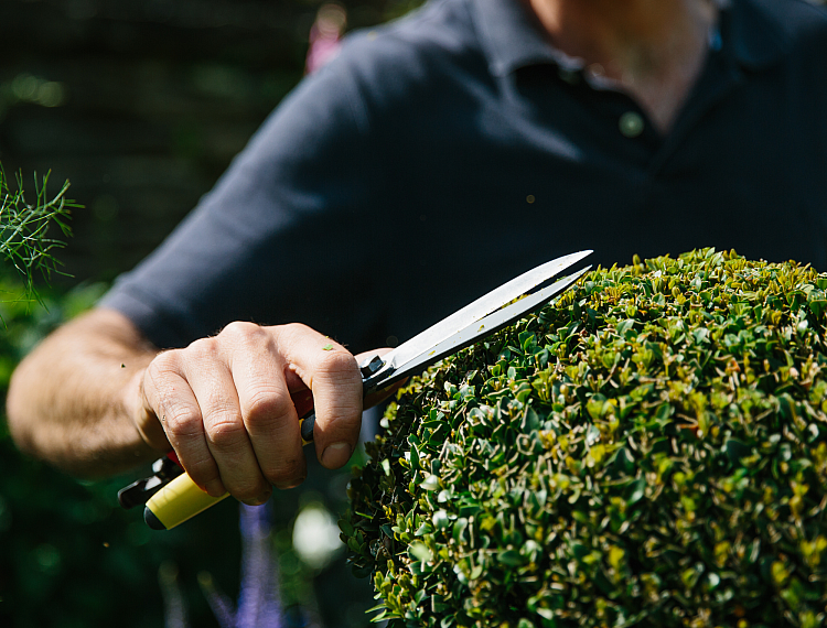 Niwaki Shears & Clippers