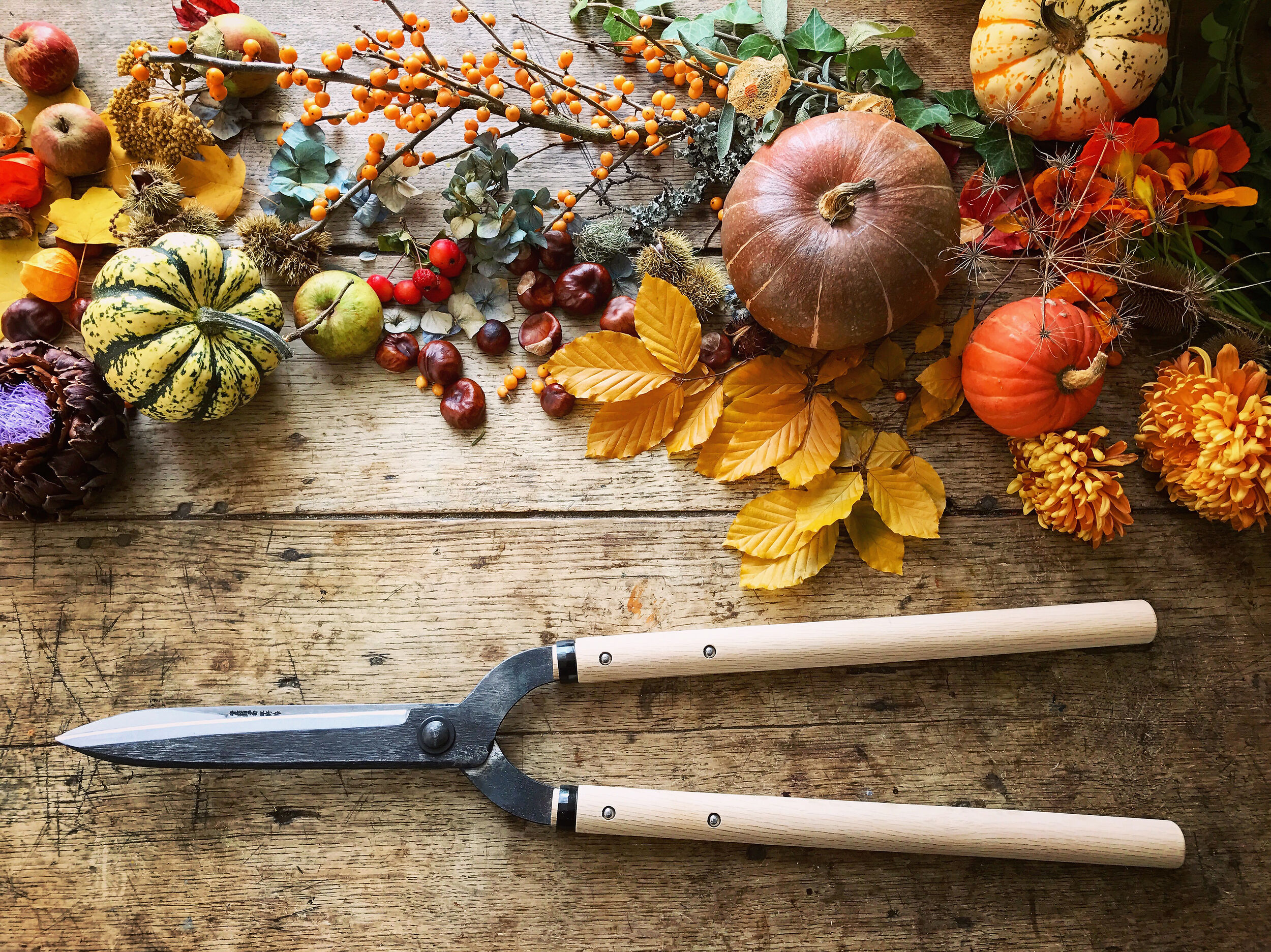 Taira Shears - Hand Forged Topiary Shears