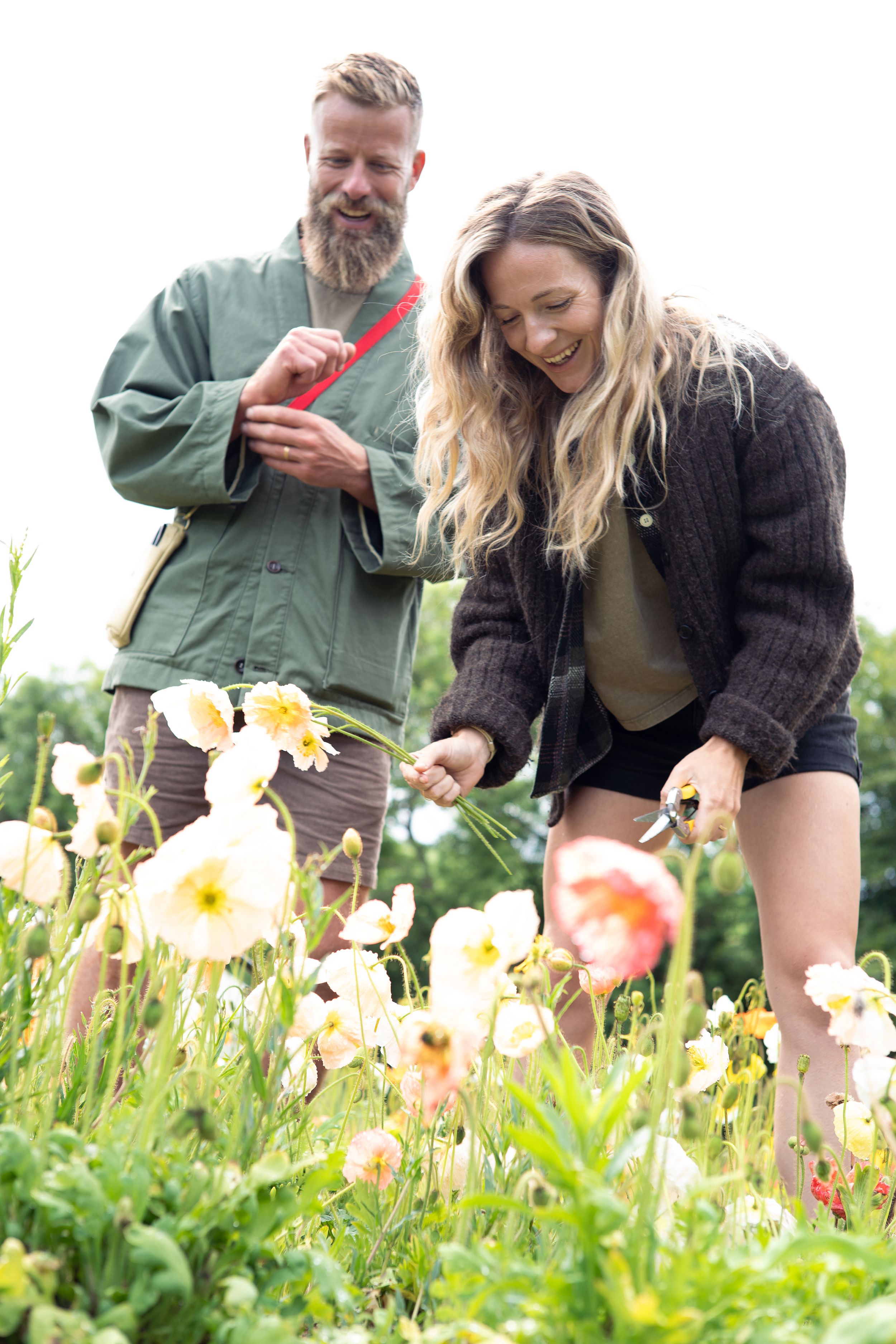 Niwaki Visits Petalon Cornish Flower Farm