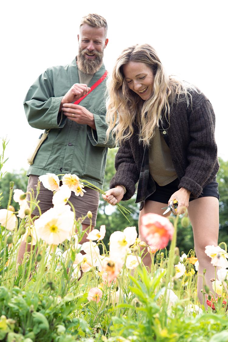 Niwaki Visits Petalon Cornish Flower Farm