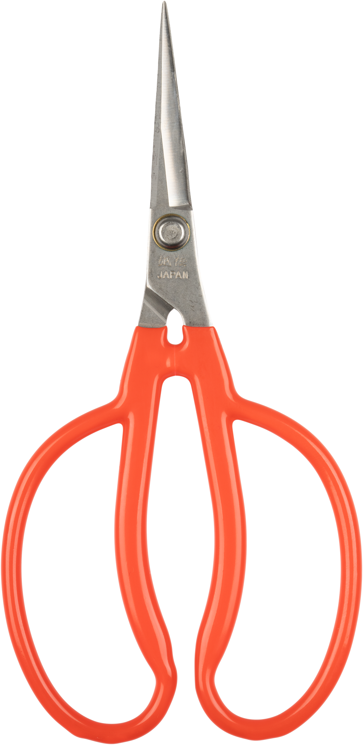 Niwaki Grape Snips - Grape Thinning Snips