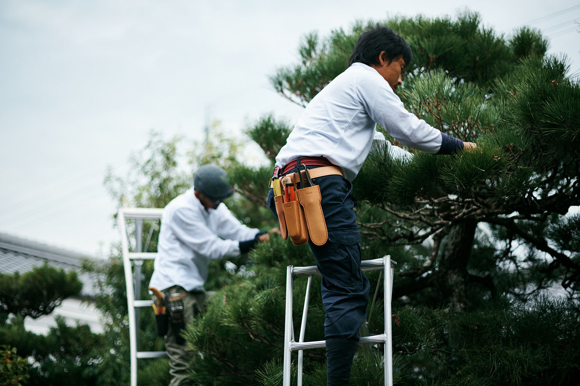 Niwaki - Japanese Tripod Ladders, Fine Pruning Tools & Other Great ...