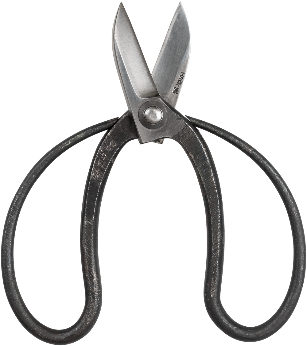 Taira Koryu Scissors - Niwaki