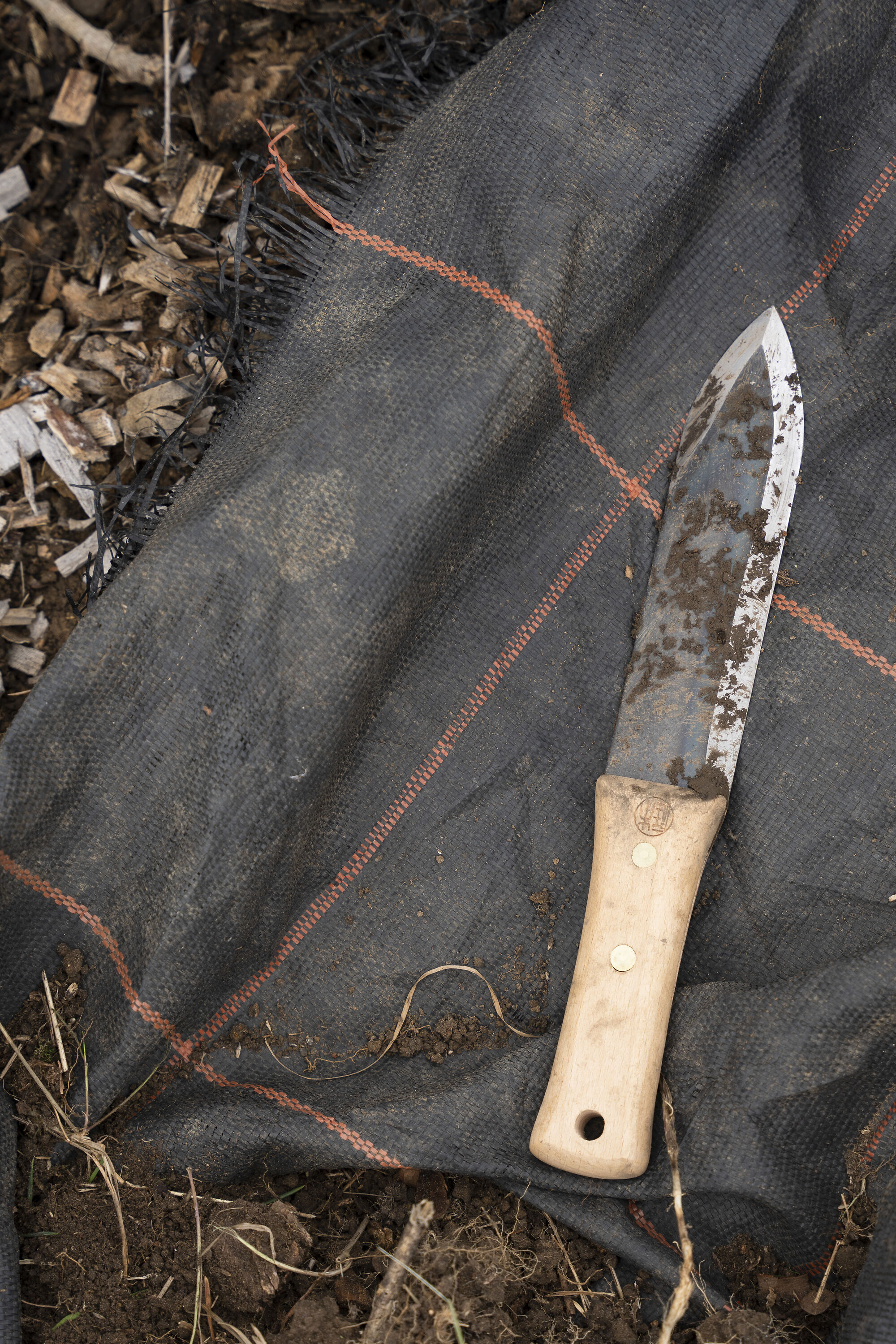 Nemawashi tree planting at Niwaki HQ