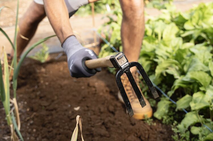 Forked Hand Hoe - Buy Weeding Tools For Your Garden | Niwaki
