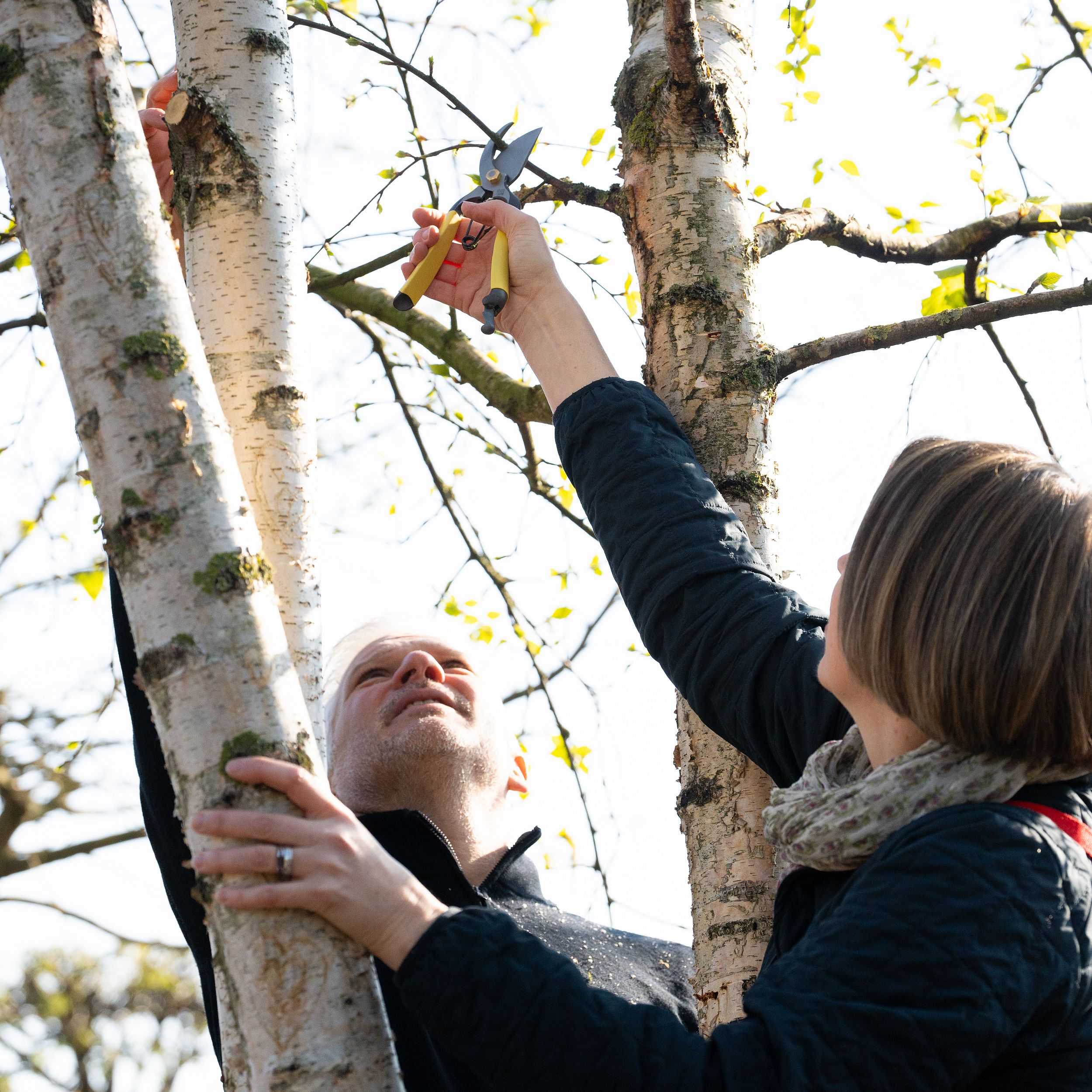 Road to Chelsea 2025: Dispatch 2