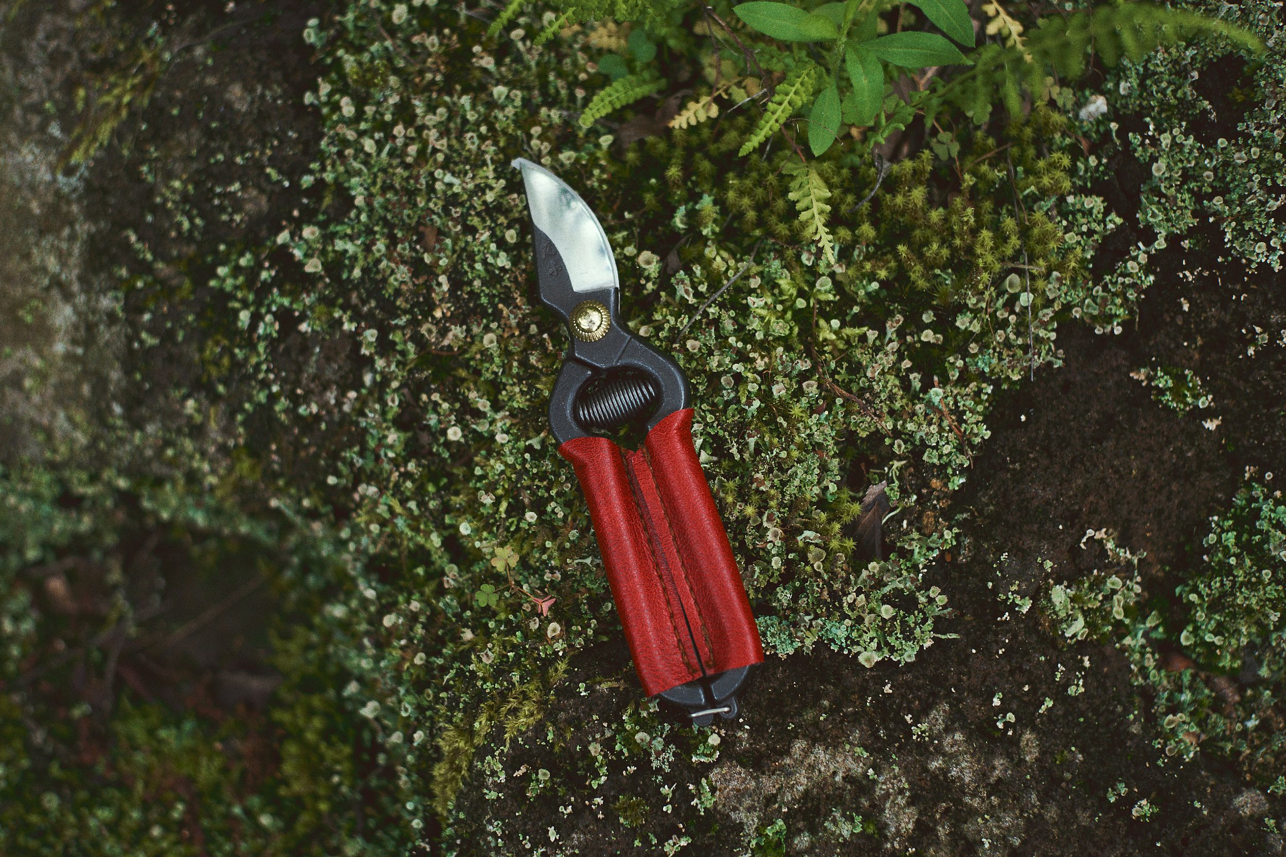 Mini Secateurs - Small Secateurs For The Garden