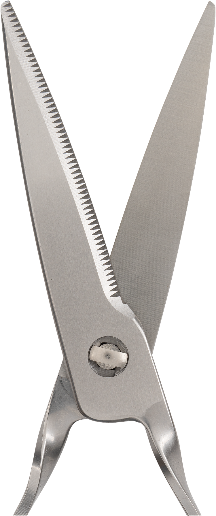 Kitchen Scissors - Easily Cleanable Scissors From Niwaki