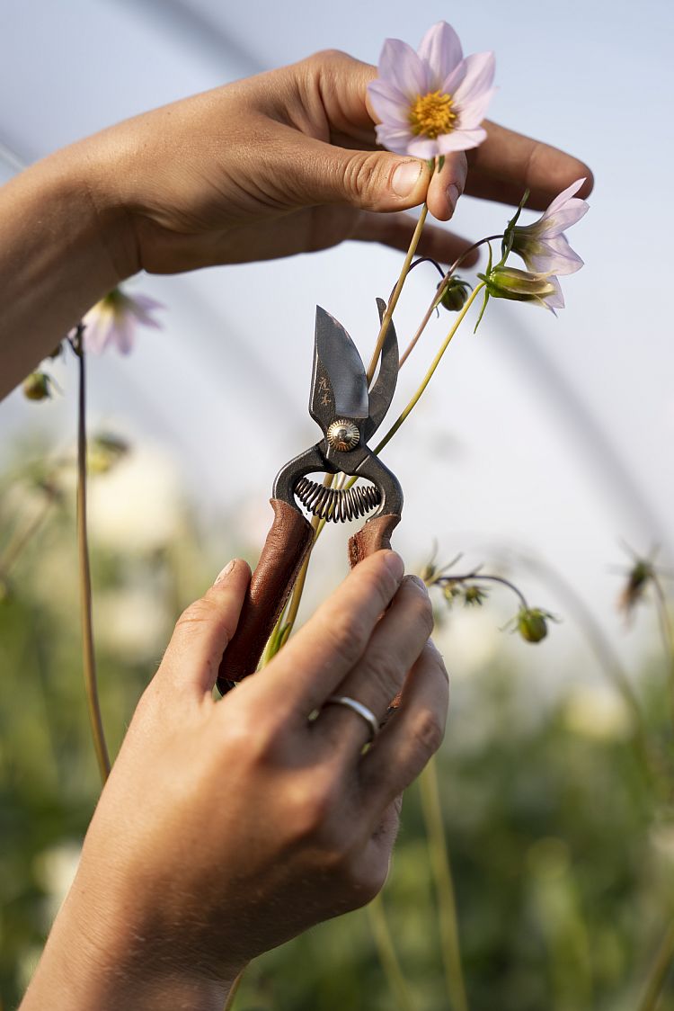 Mini Secateurs - Small Secateurs For The Garden