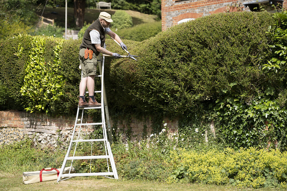 Niwaki Tripod Ladders and Garden Shears