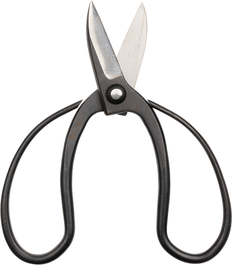 Sentei Garden Scissors - Buy Scissors For Garden Pruning | Niwaki