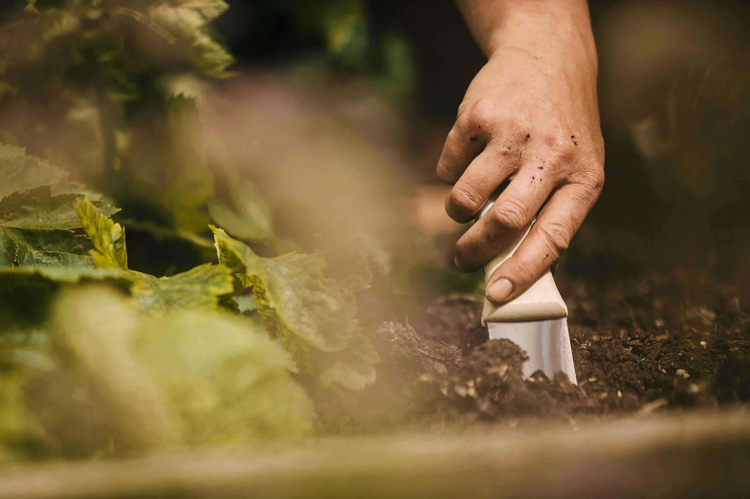 Hori Hori - Japanese Trowel from Niwaki