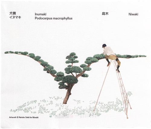 Cubitts X Niwaki Mirei Frame