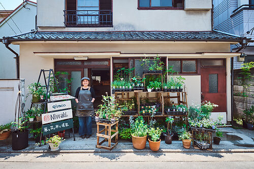 Niwaki - Japanese Tripod Ladders, Fine Pruning Tools & Other Great ...