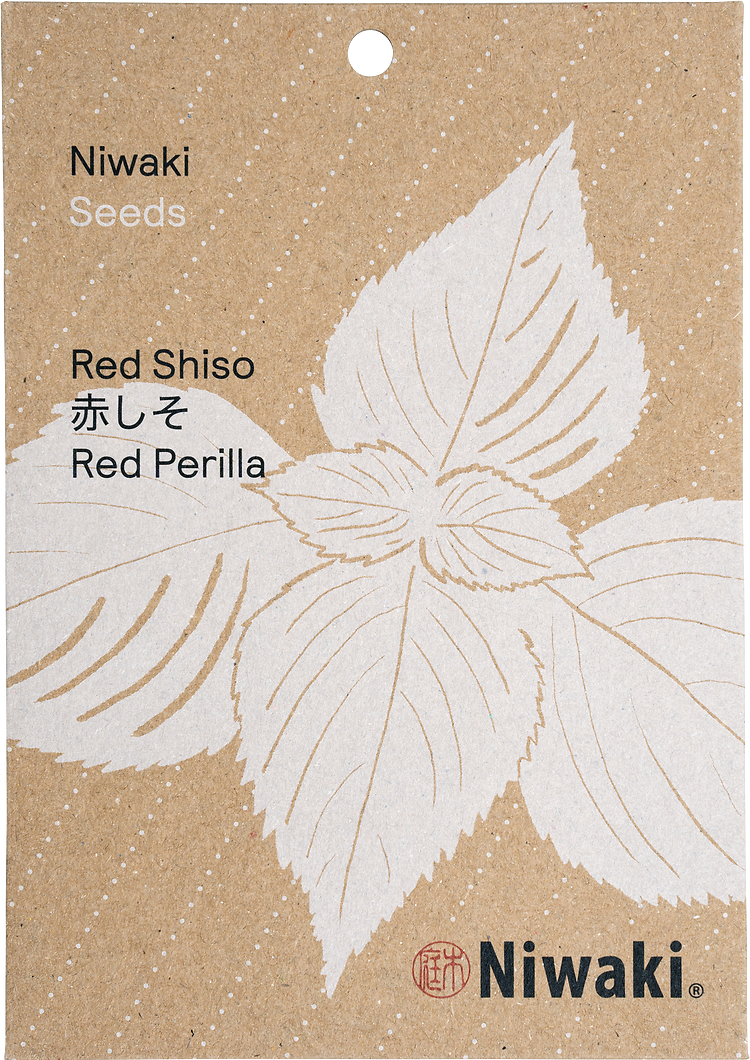 Mizuna Japanese Mustard Seeds from Niwaki