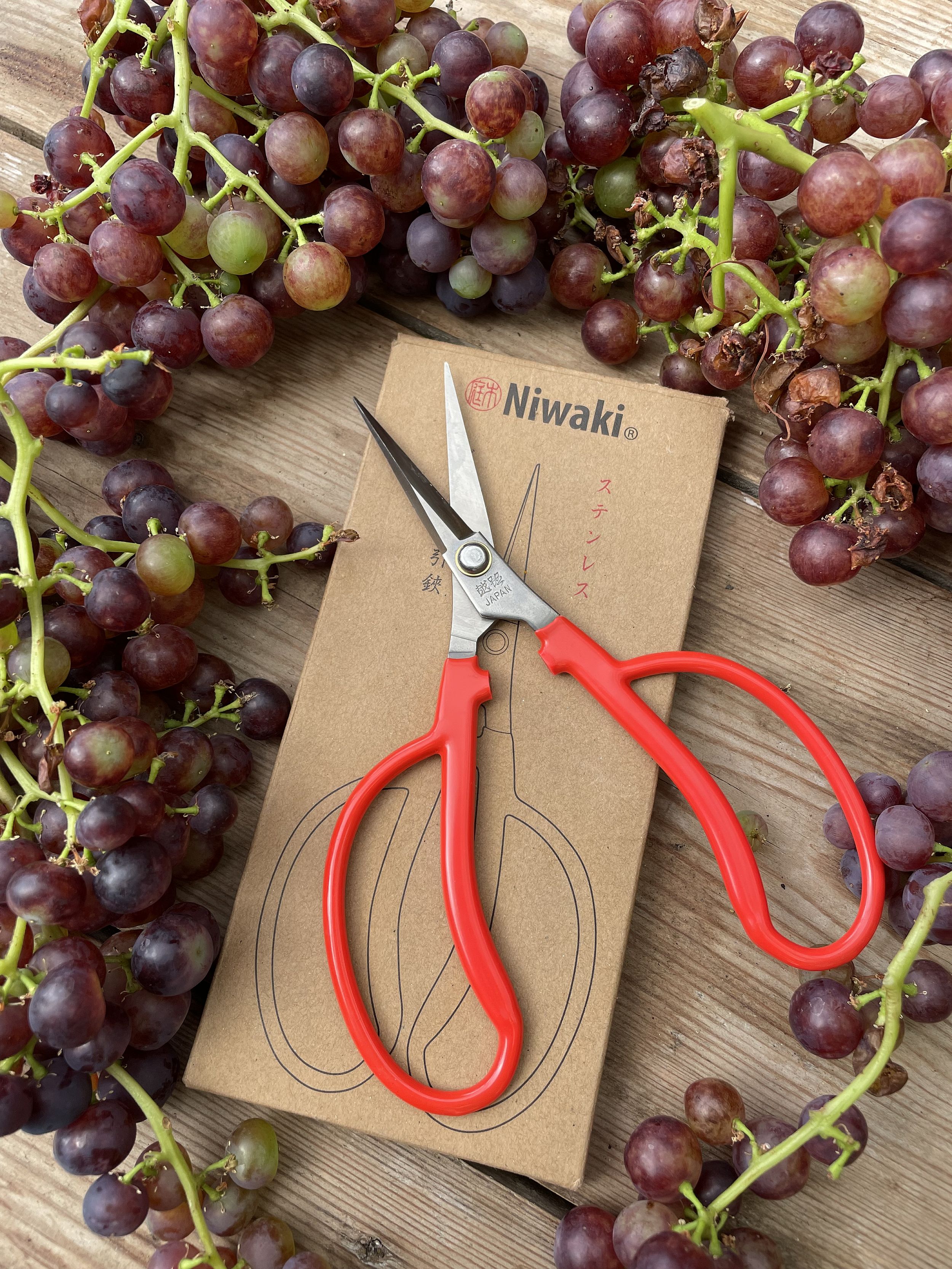 Niwaki Grape Snips - Grape Thinning Snips