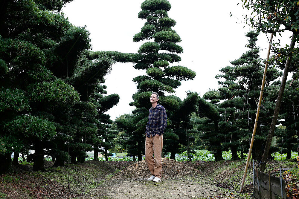 Niwaki: The Story So Far