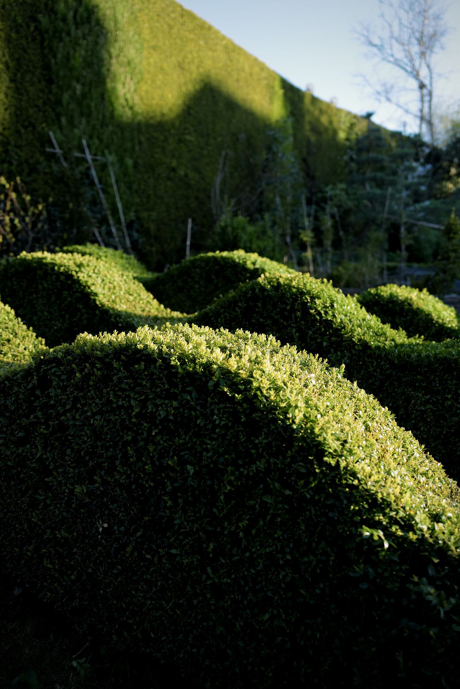 Box Clipping: a beginner's guide