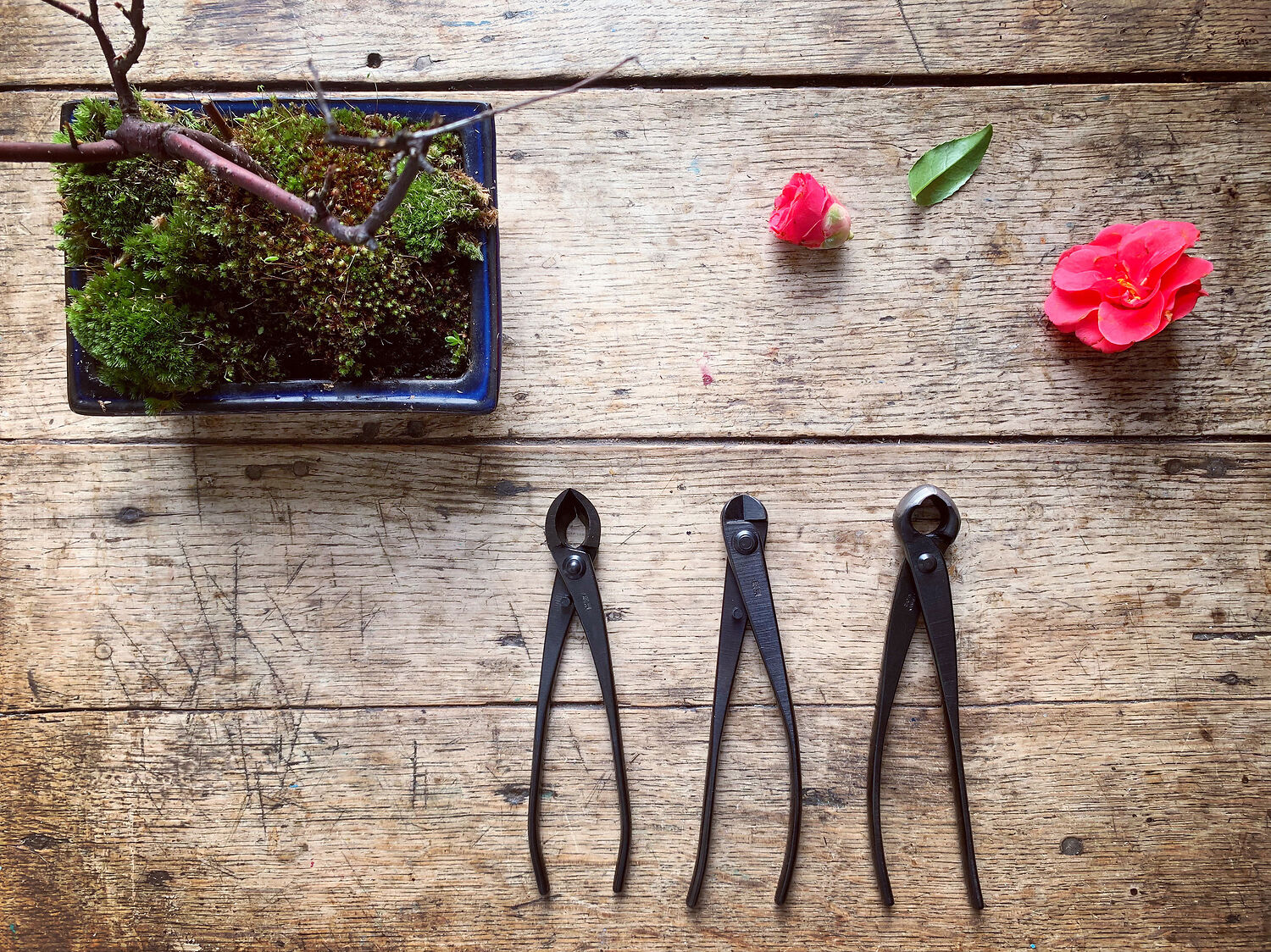 Kaneshin Bonsai Branch Cutters - Niwaki