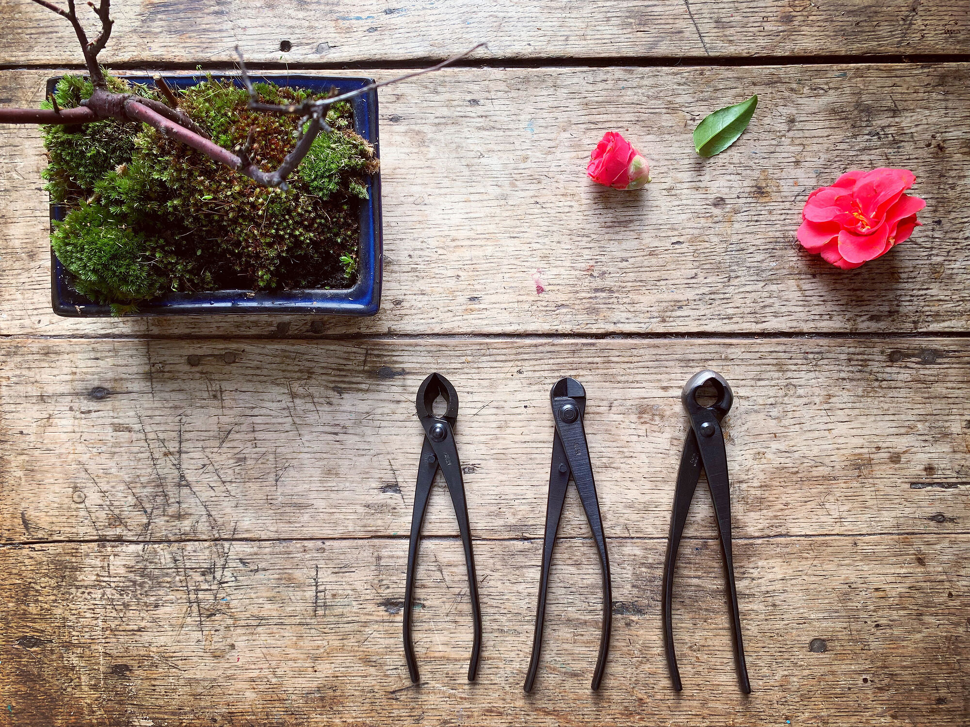 Kaneshin Bonsai Branch Cutters - Niwaki