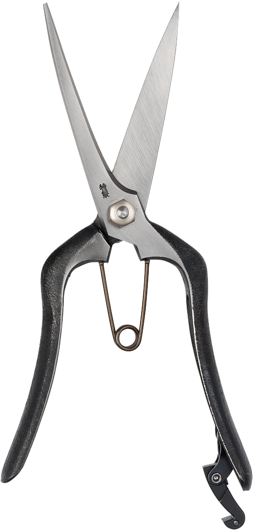 Niwaki Pro Barracuda Snips