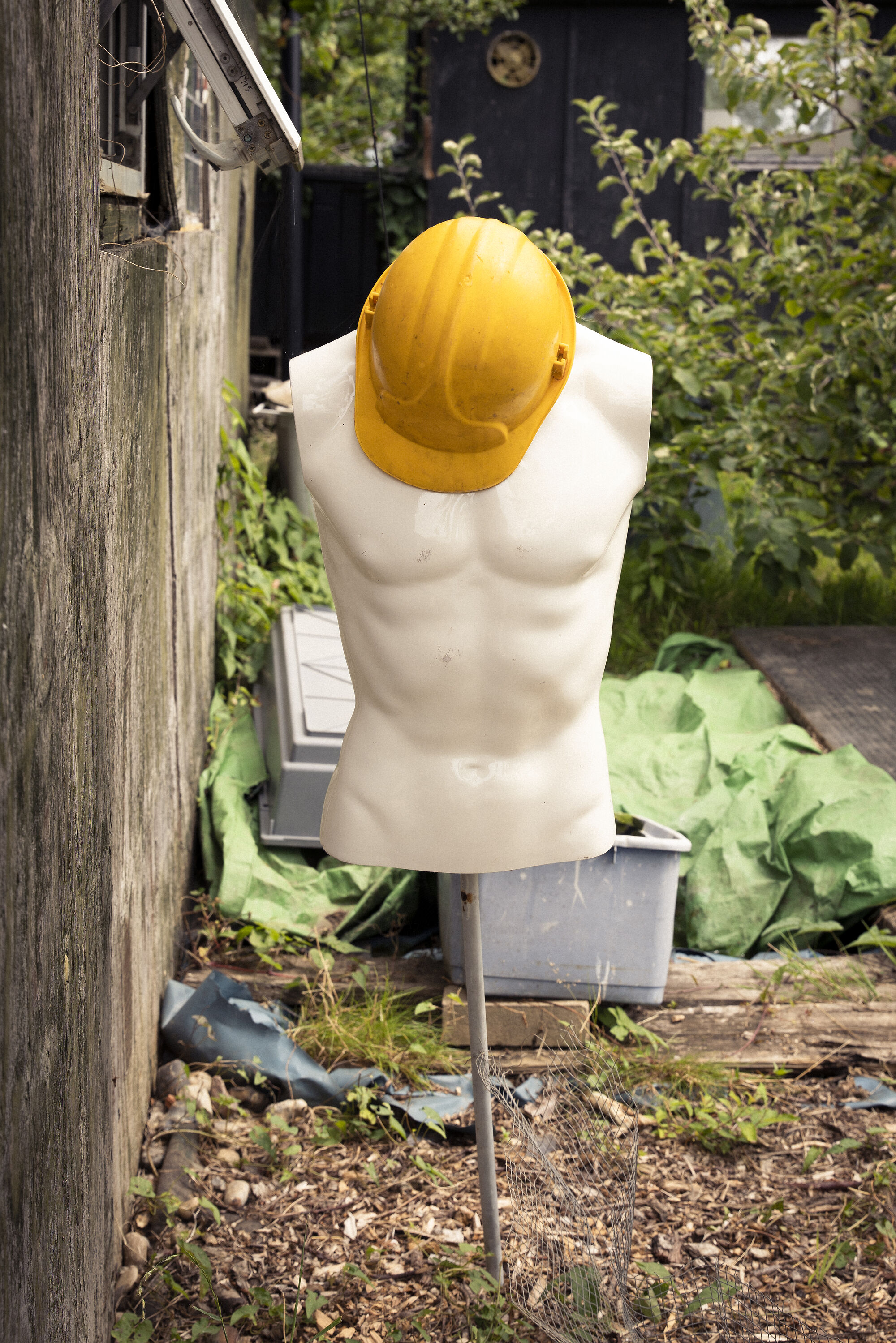 Allotment Life story from Niwaki