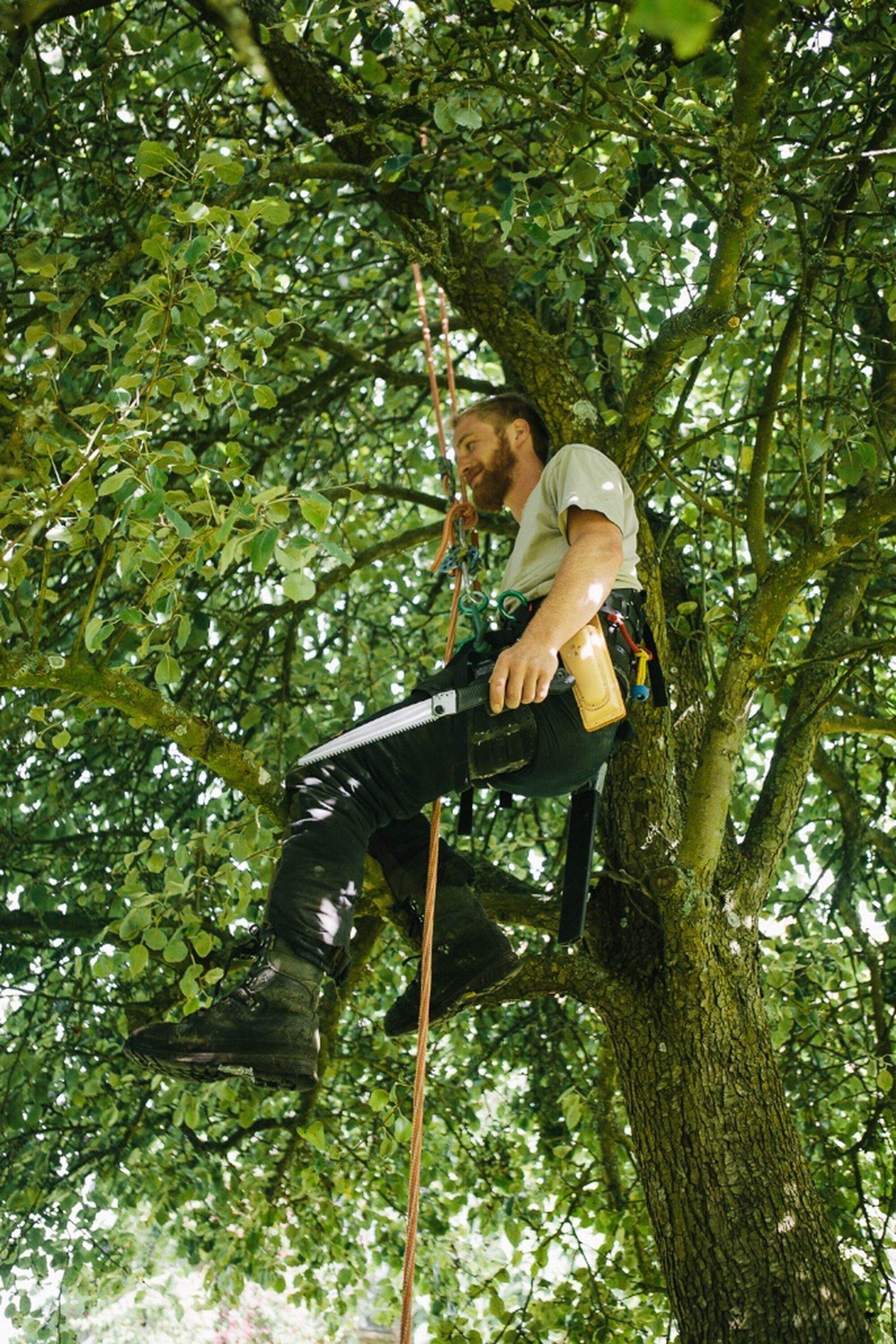 Bakuma Hunter Folding Pruning Saw - Niwaki