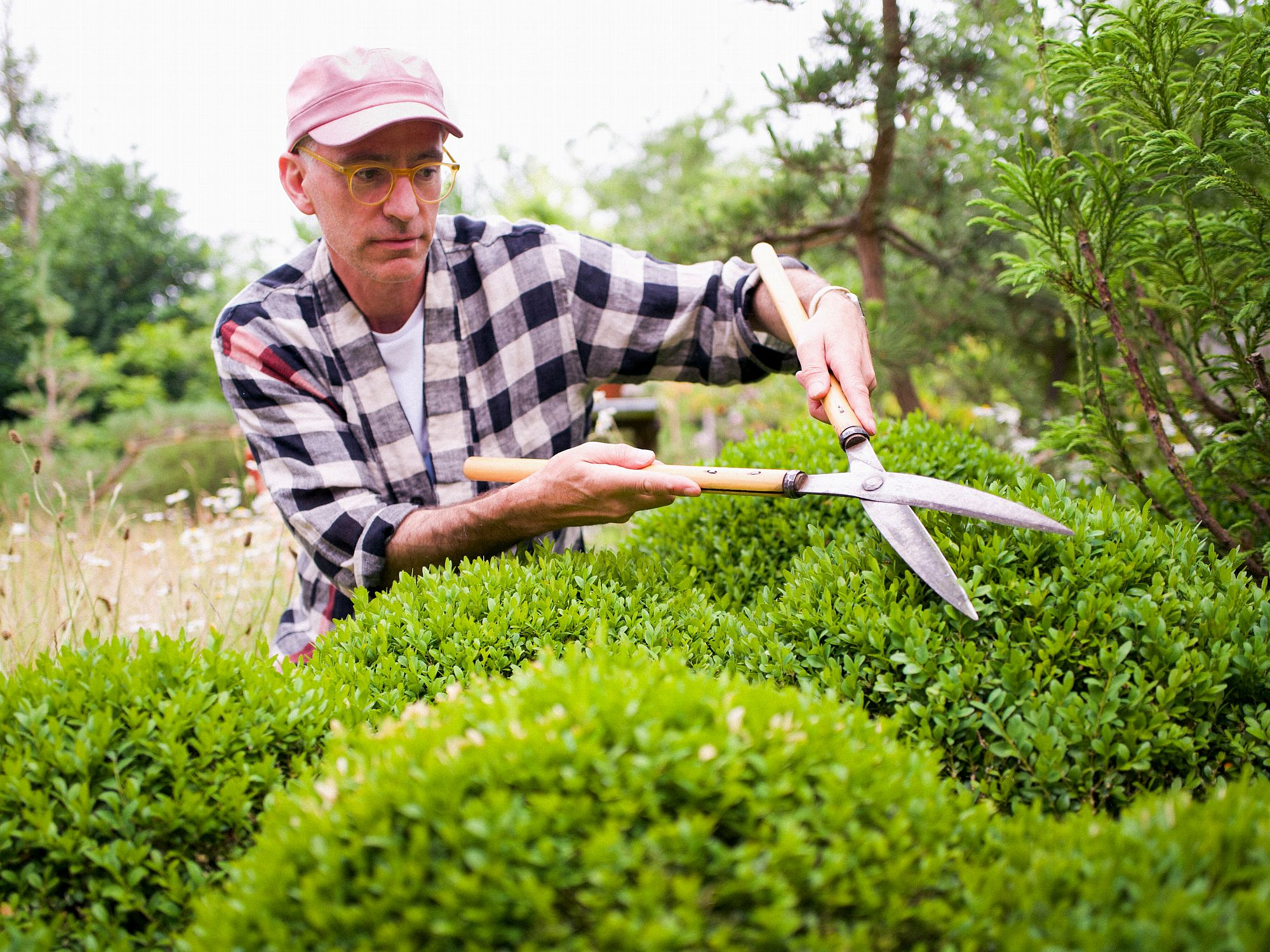 Box Clipping: a beginner's guide