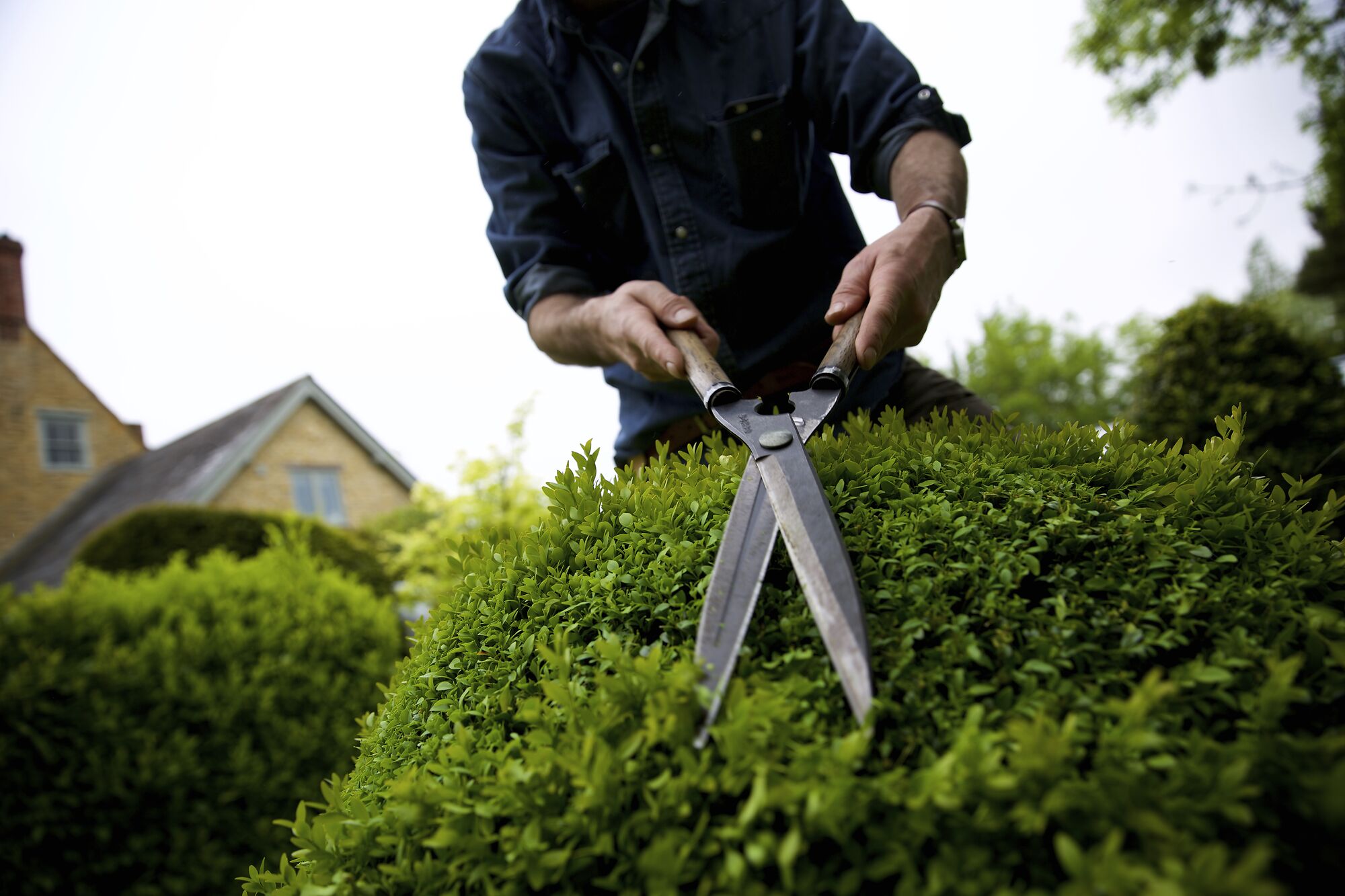 Box Clipping: a beginner's guide