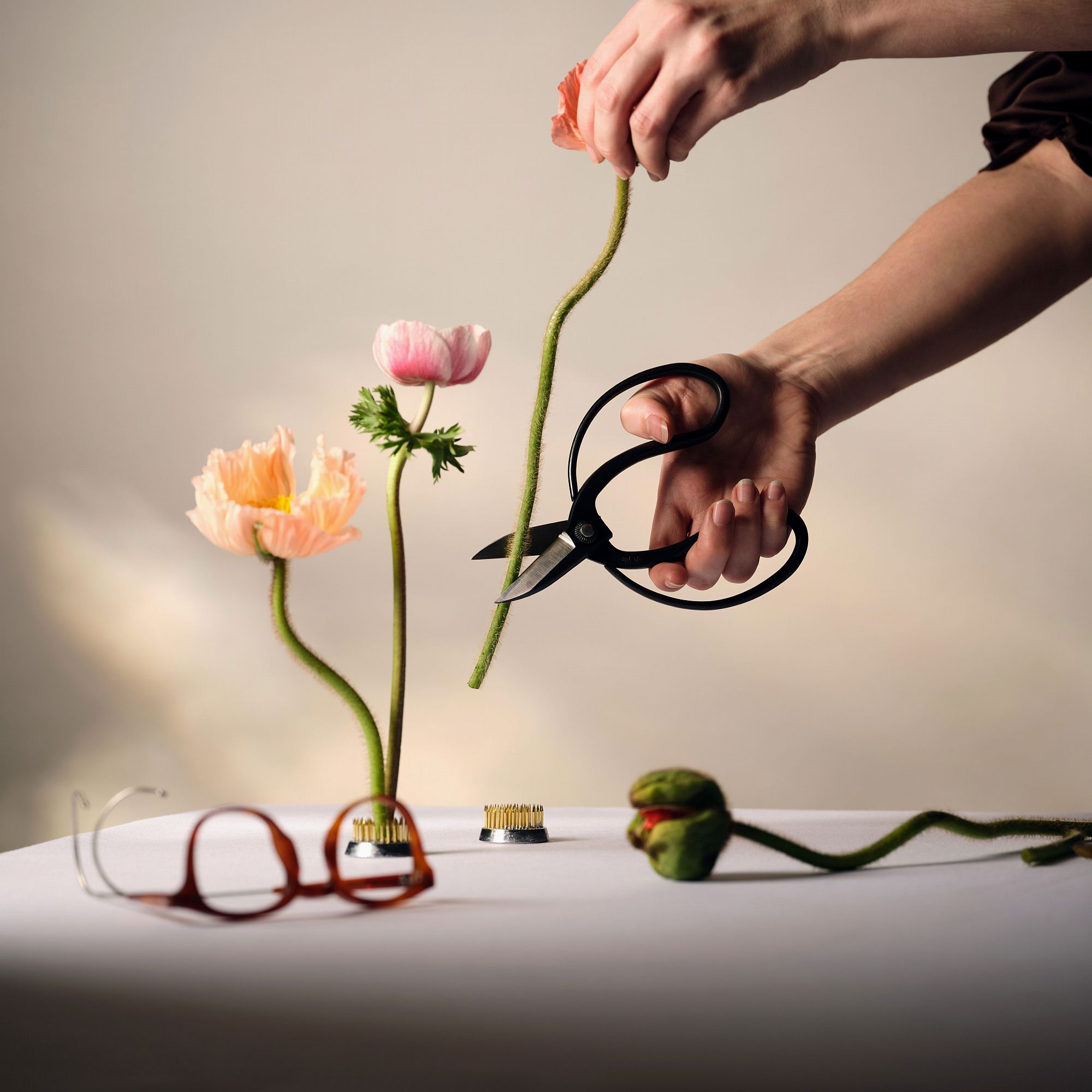 Niwaki x Cubitts Collaboration: the Mirei frame, for life in and out of the garden