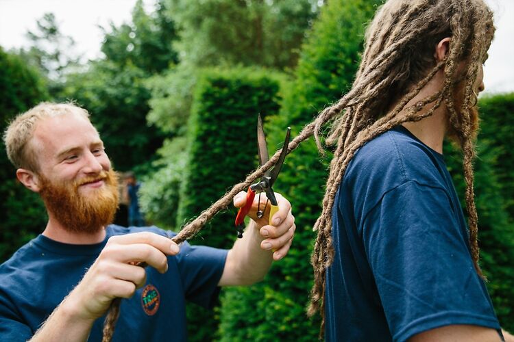 Warner Tree Management - Niwaki