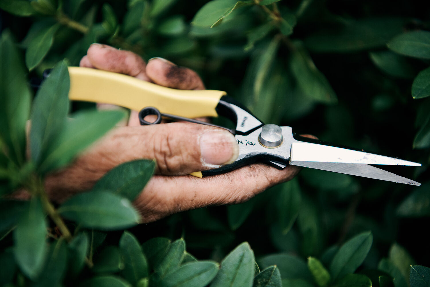 Niwaki GR Pro Snips - Hand Forged