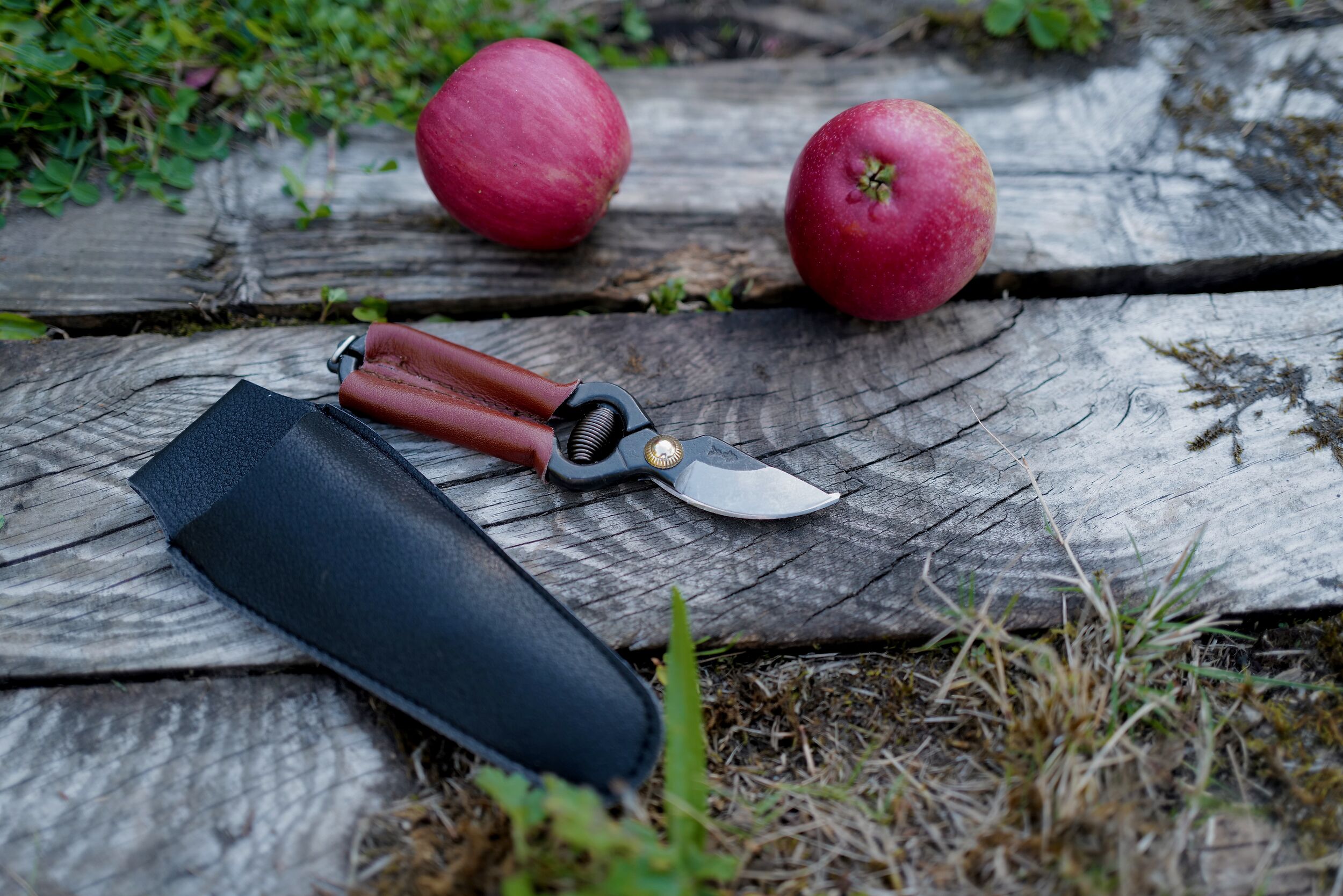 Mini Secateurs - Small Secateurs For The Garden