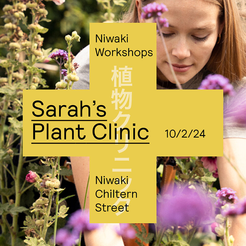 Niwaki Workshop: Sarah’s Plant Clinic (Deposit)