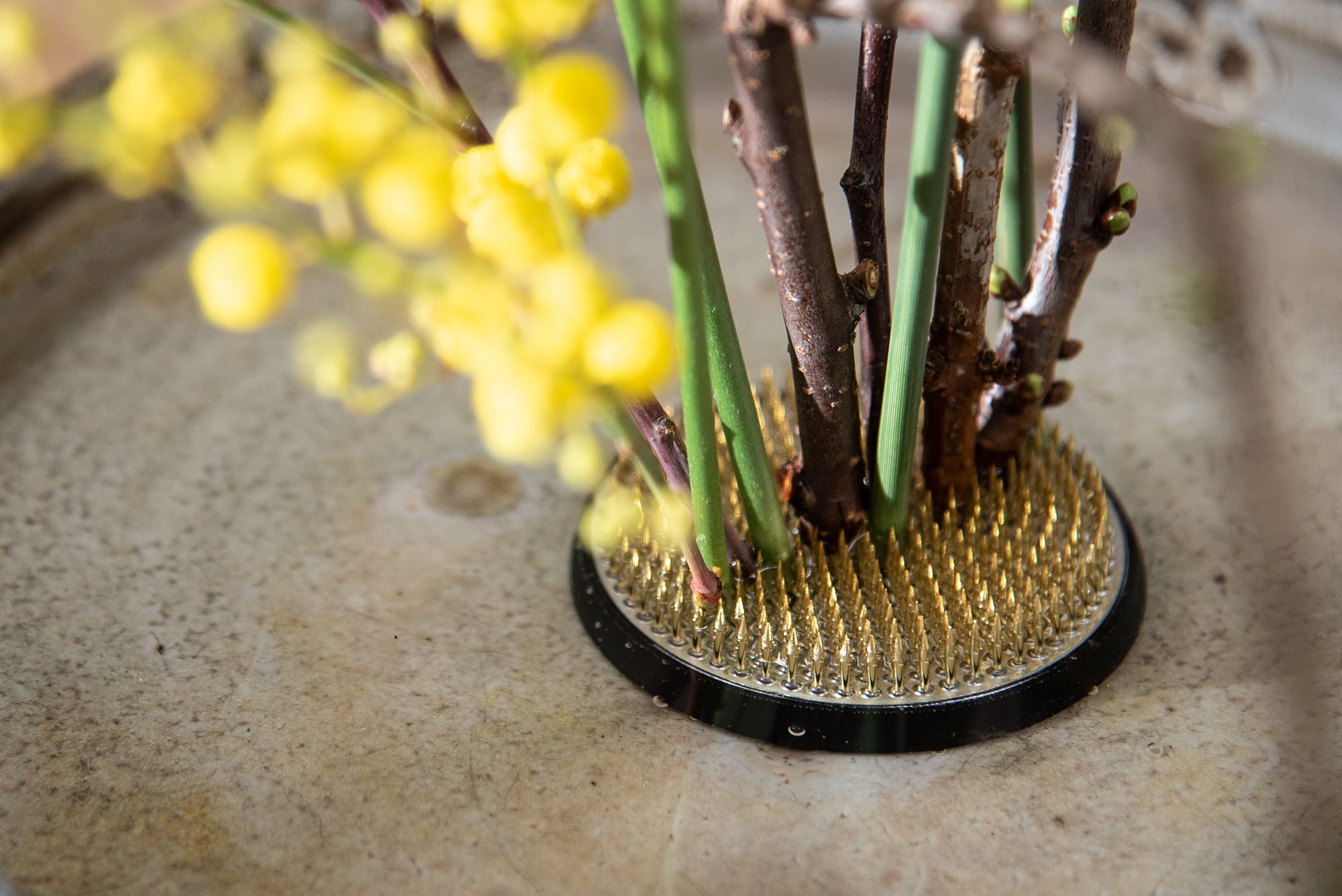 Niwaki Kenzan and Accessories