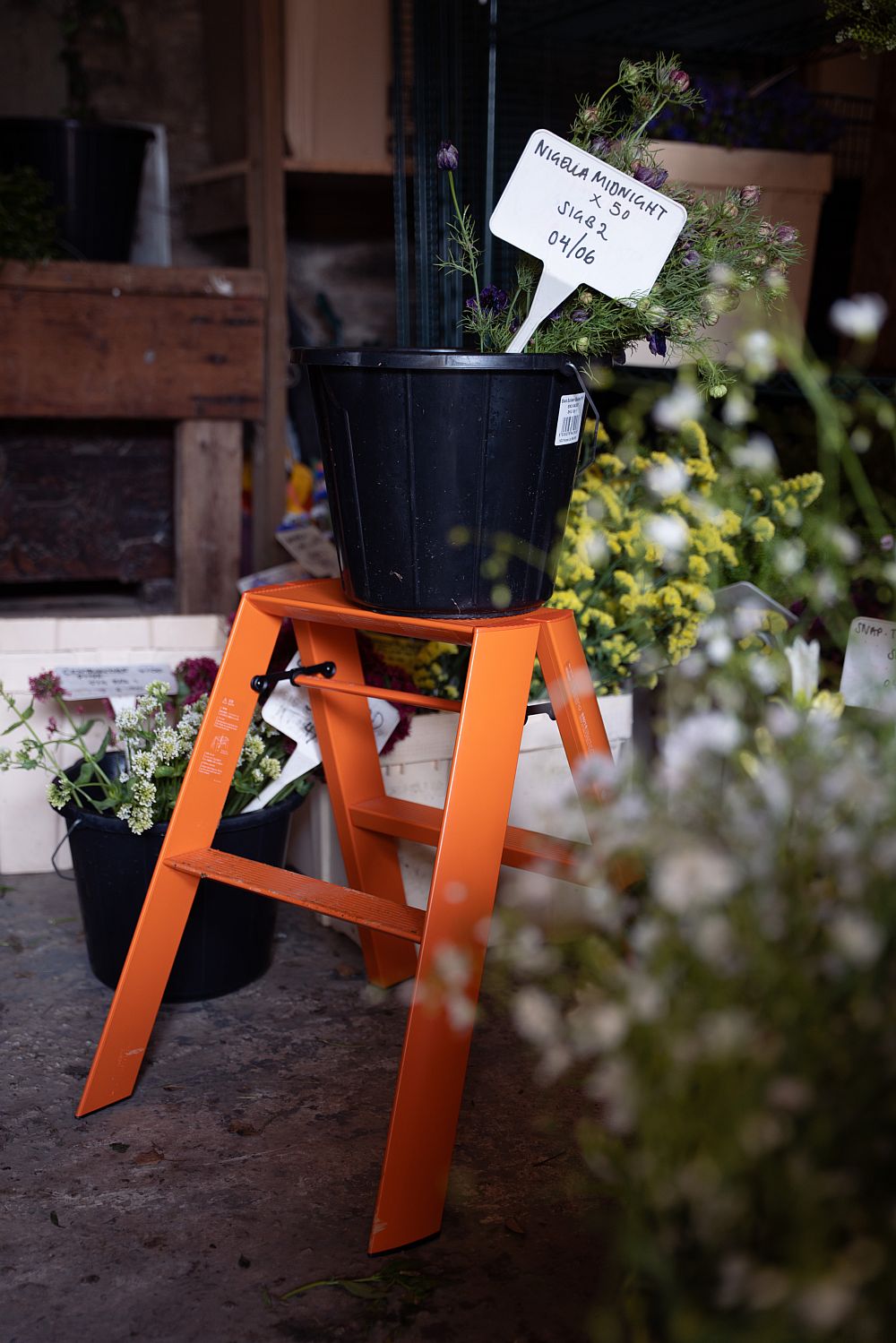 Lucano 2 Step Stool - Niwaki