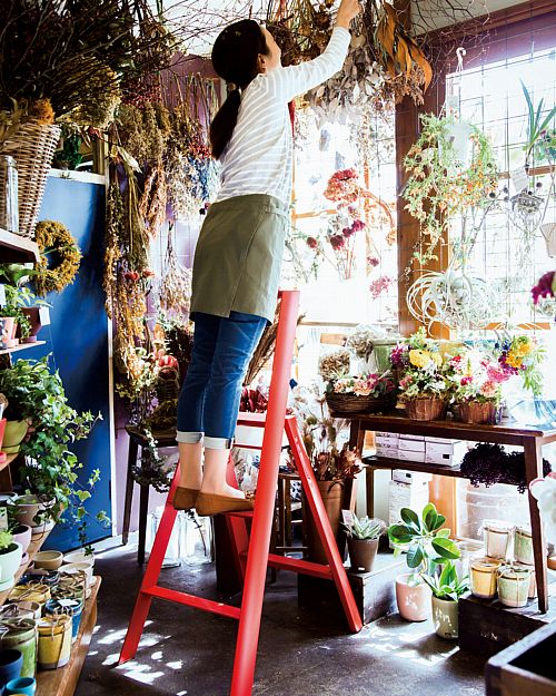 Save 15% on all Niwaki Tripod Ladders, Lucano Steps and Slim Steps