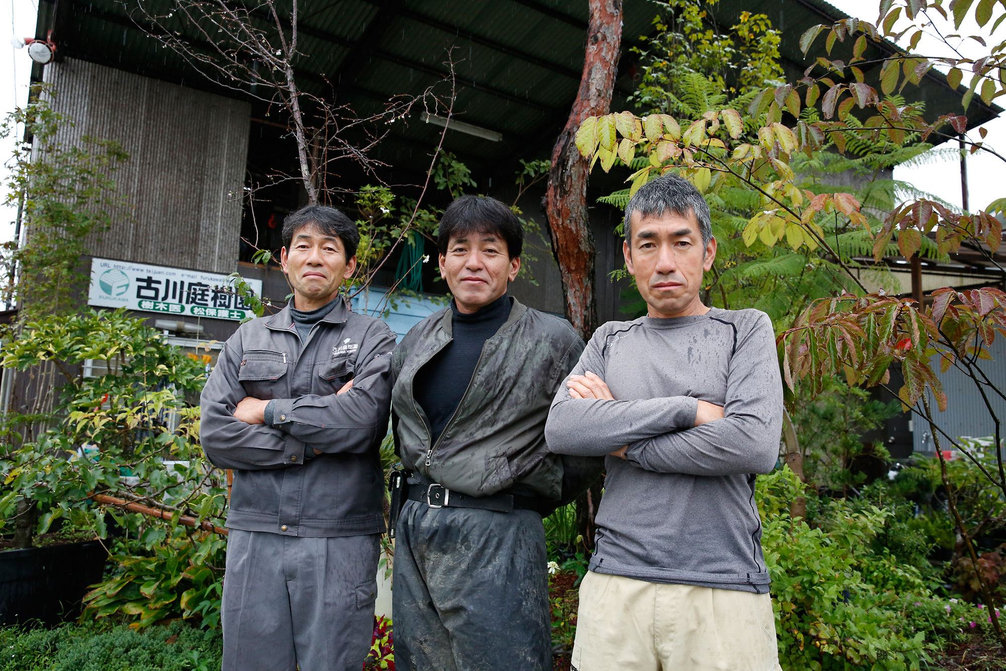 Niwaki - Japanese Tripod Ladders, Fine Pruning Tools & Other Great ...