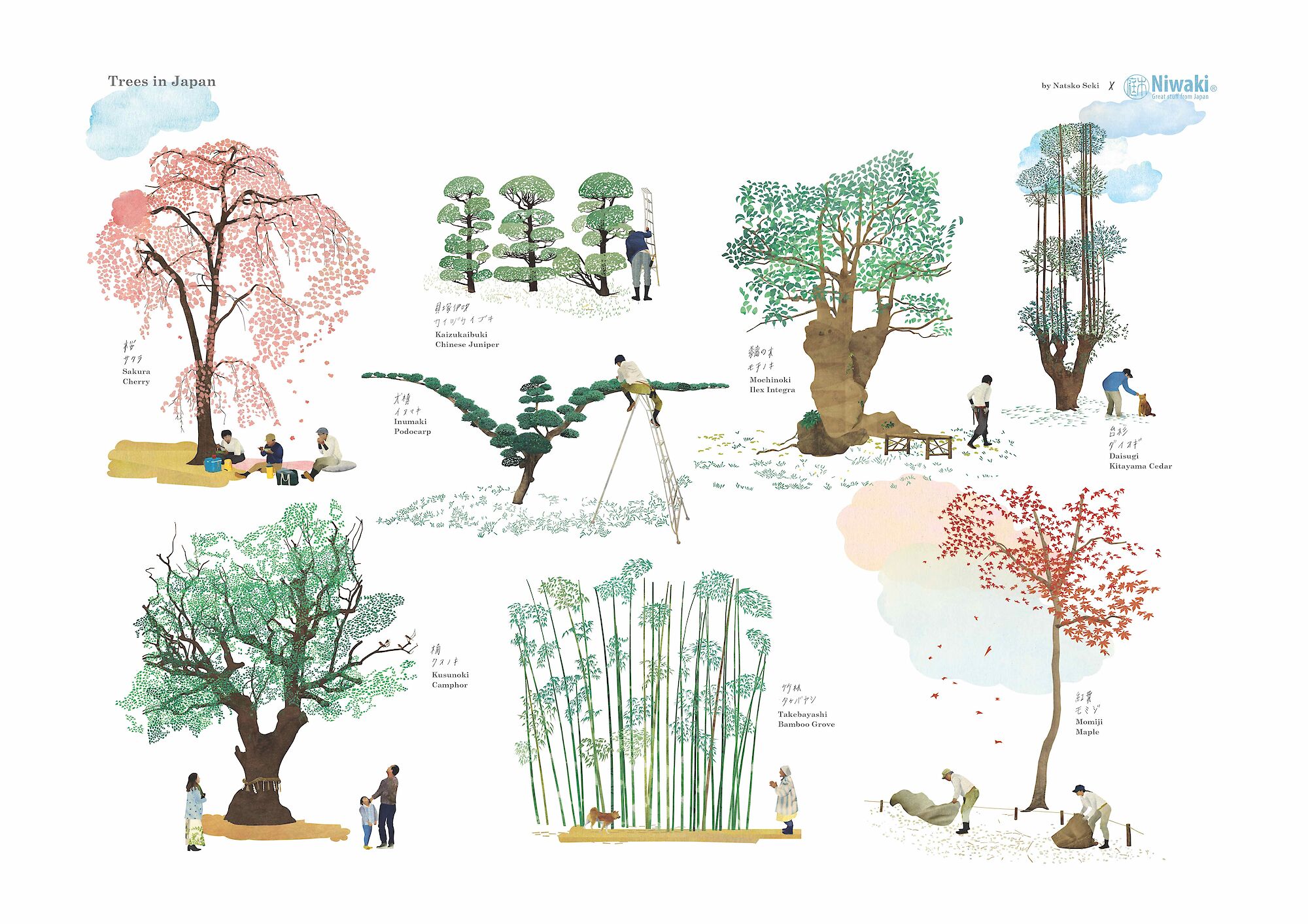 Niwaki - Japanese Tripod Ladders, Fine Pruning Tools & Other Great ...