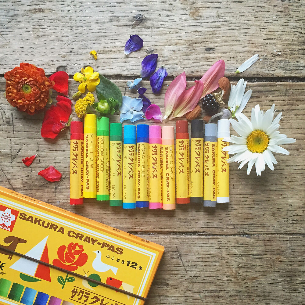 Sakura Cray-Pas - Japanese Crayons Niwaki